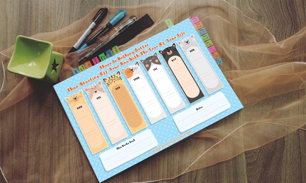 BEST GIFTS TO TARGET FOR CAT LOVERS - What to get my...