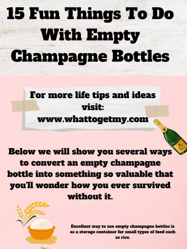 15 Fun Things To Do With Empty Champagne Bottles What To Get My 